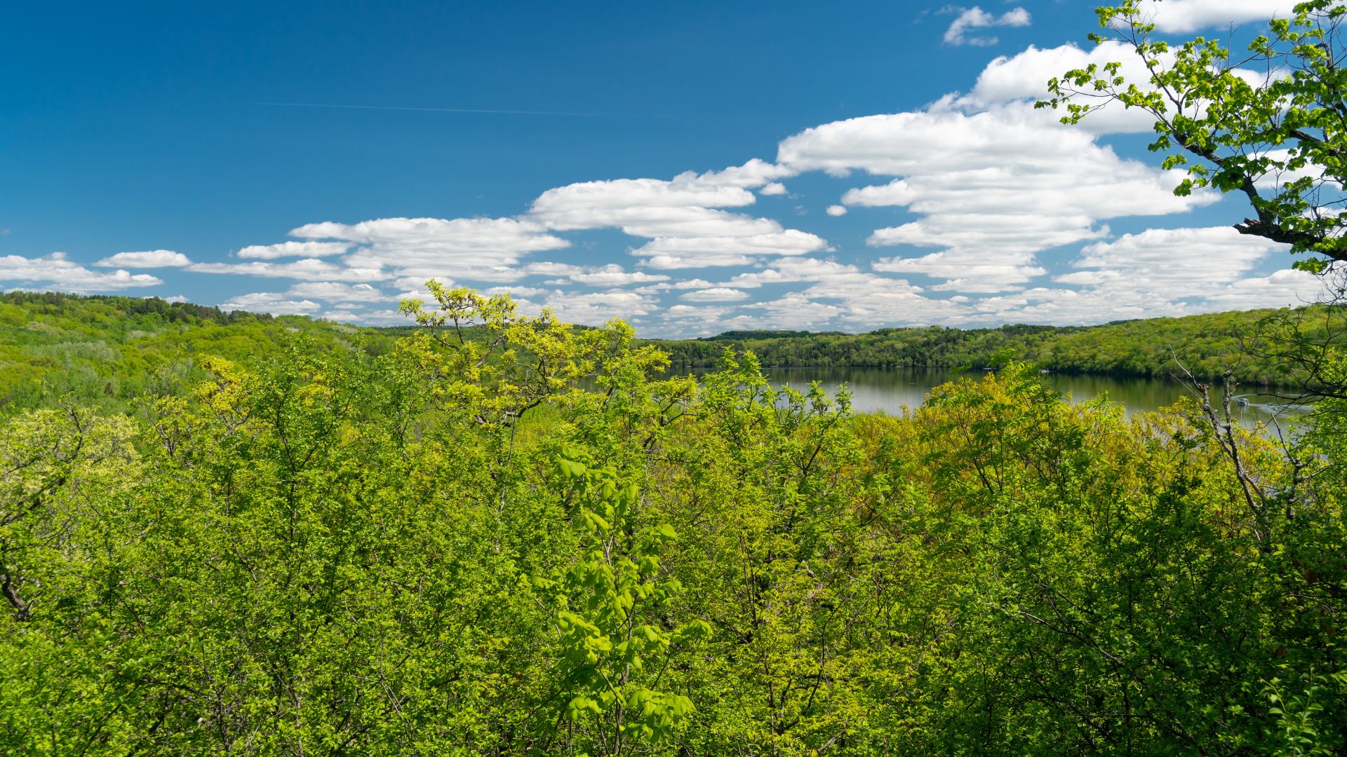Minnesota State Parks near the Twin Cities