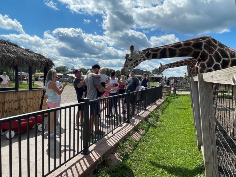 The Best Zoos and Animal Encounters around Minnesota