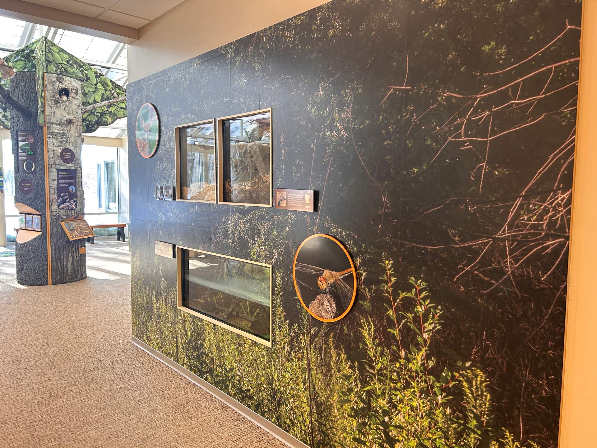 Springbrook Nature Center