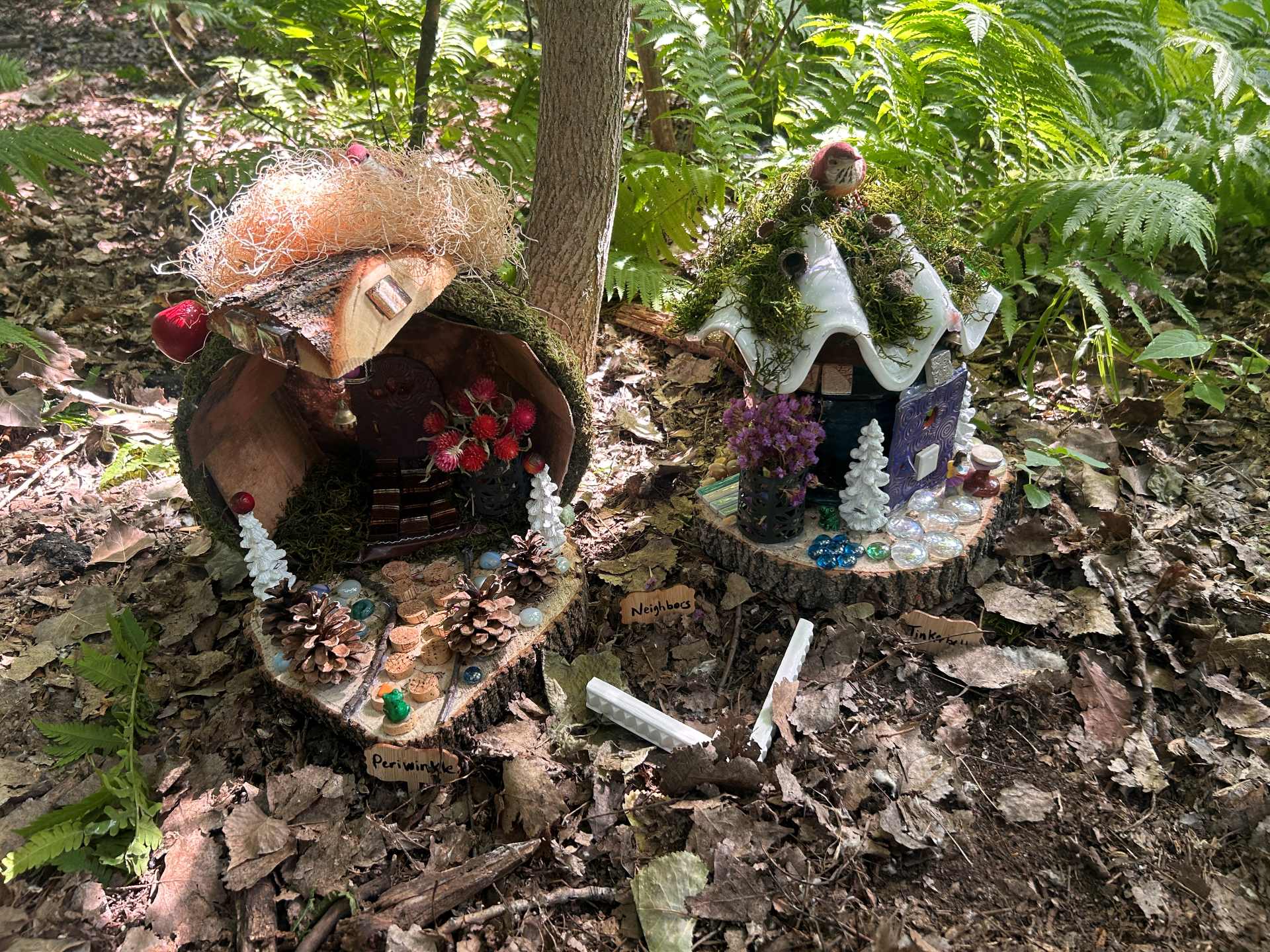 Trail of Small Wonders at Westwood Hills Nature Center