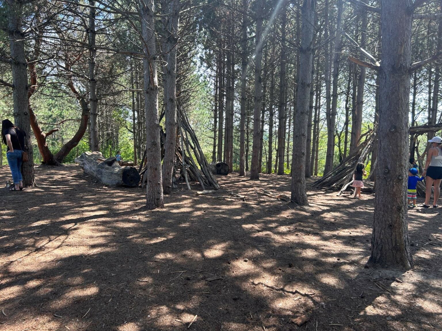 A Family's Guide to Tamarack Nature Center