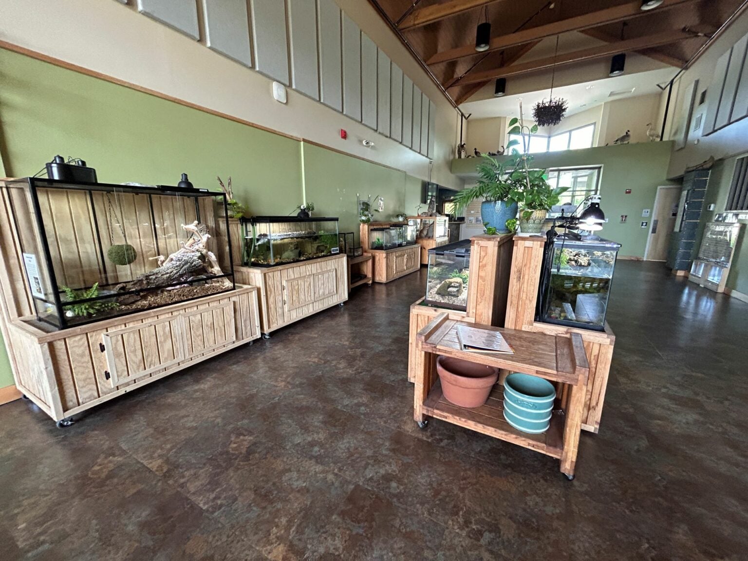 A Family's Guide to Tamarack Nature Center - Minnesota Parent