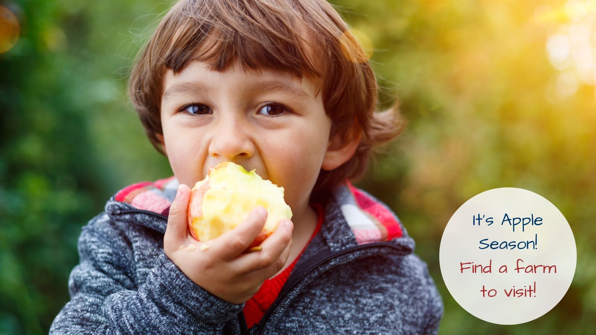It's apple orchard season in Minnesota!