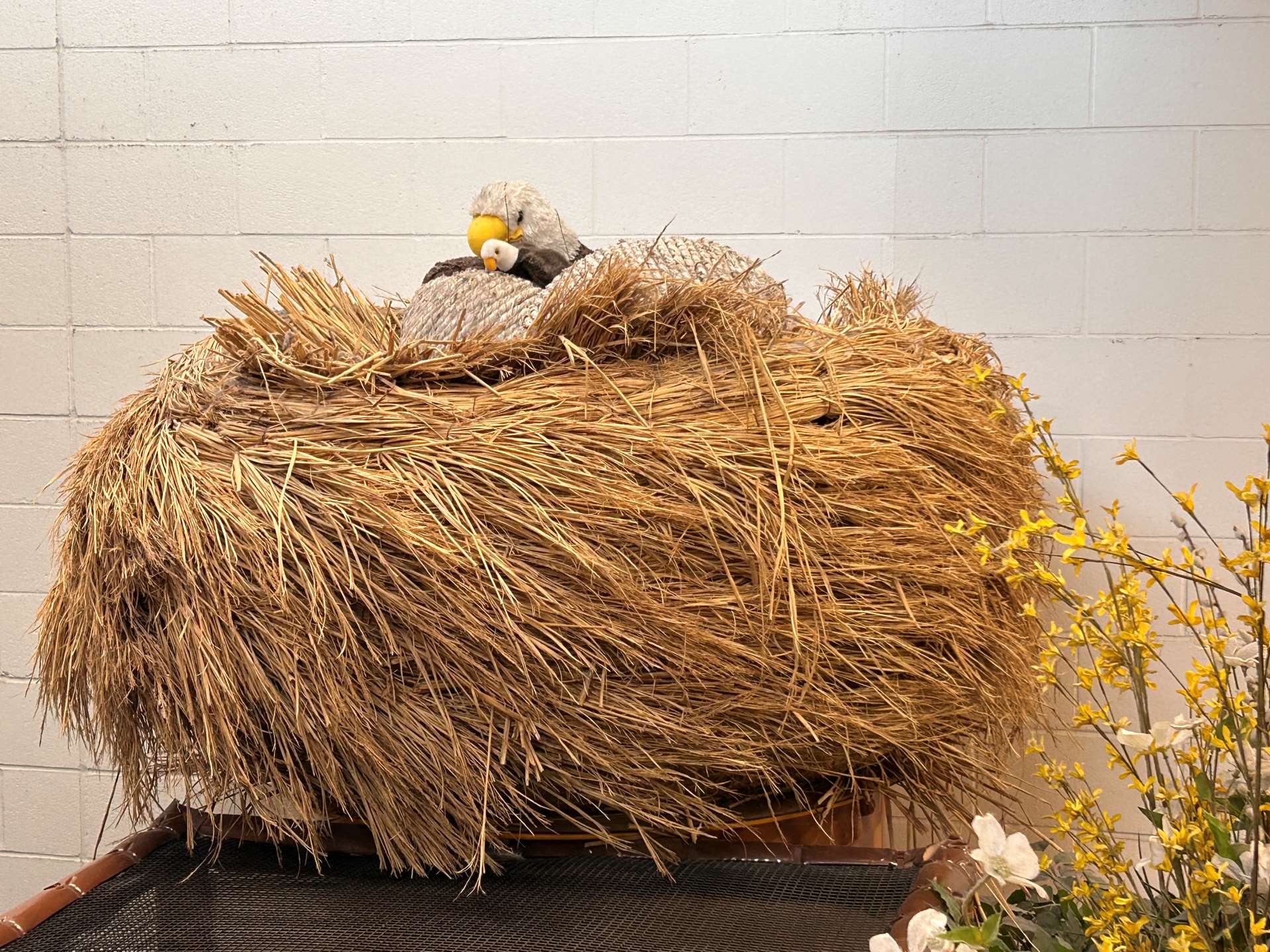 The Ultimate Guide to Family Fun at Eagle's Nest Playground - Minnesota ...