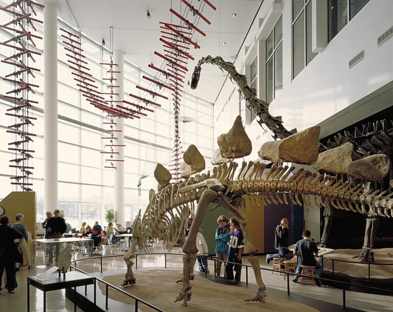 Mind-Blowing Exhibits at the Science Museum of Minnesota You Can't Miss ...