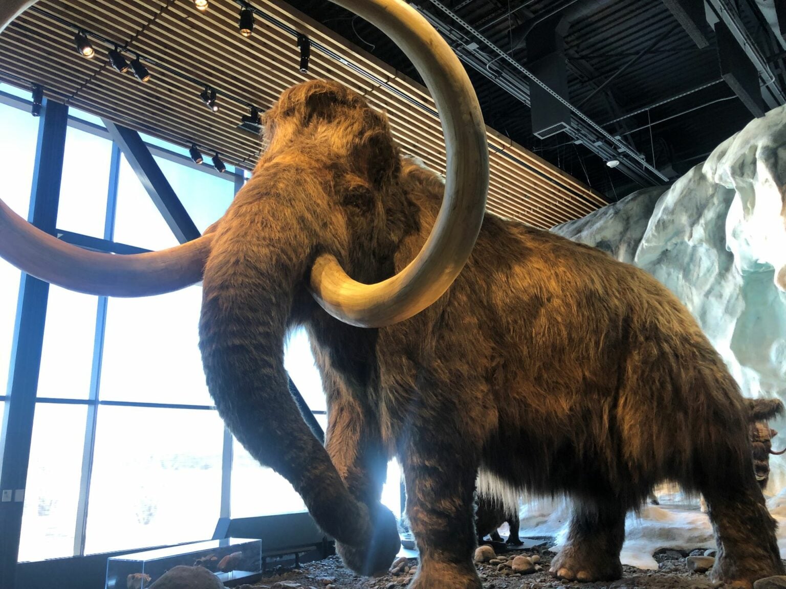 13 Must-Visit Museums in the Twin Cities - Minnesota Parent