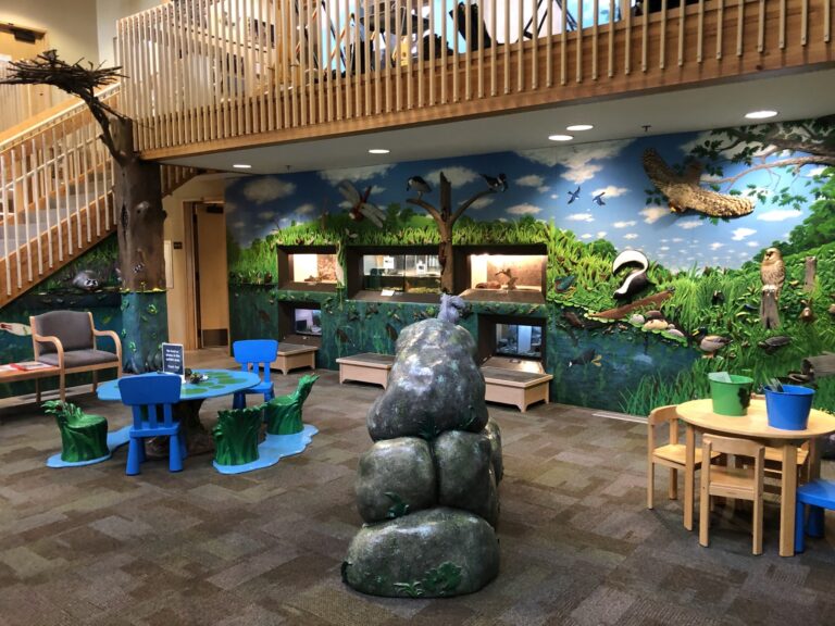 Family Adventure Awaits: Explore Richardson Nature Center - Minnesota ...