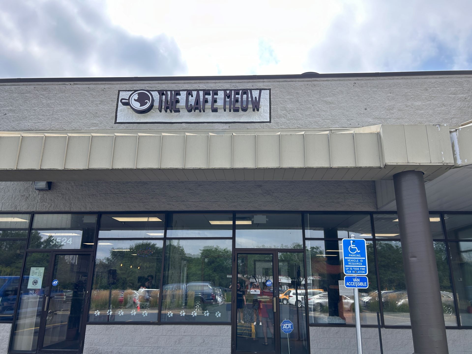 Meow Cafe: The Perfect Spot for Family Fun and Feline Friends!
