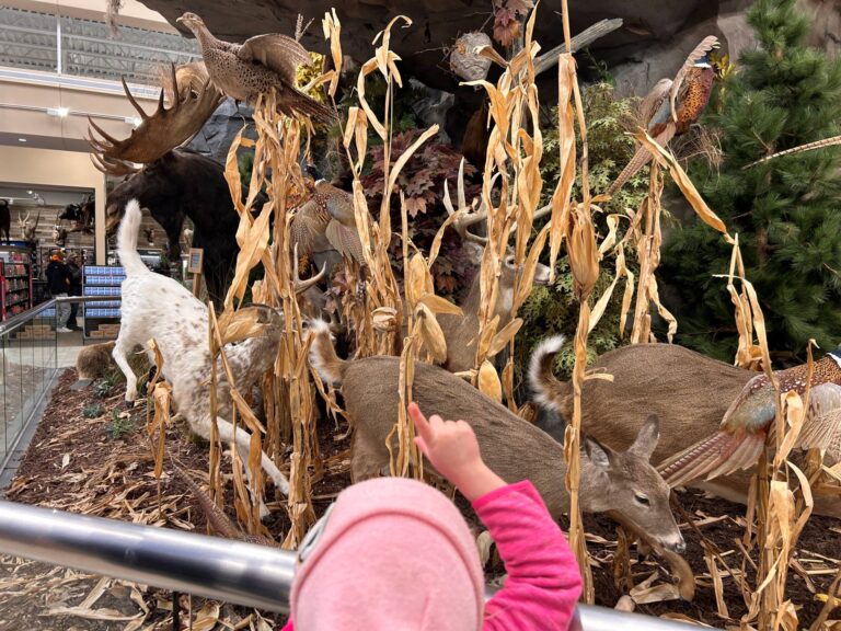 Eden Prairie's Best Family Attractions - Minnesota Parent