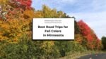 Nine of the Best Colorful Fall Road Trips in Minnesota