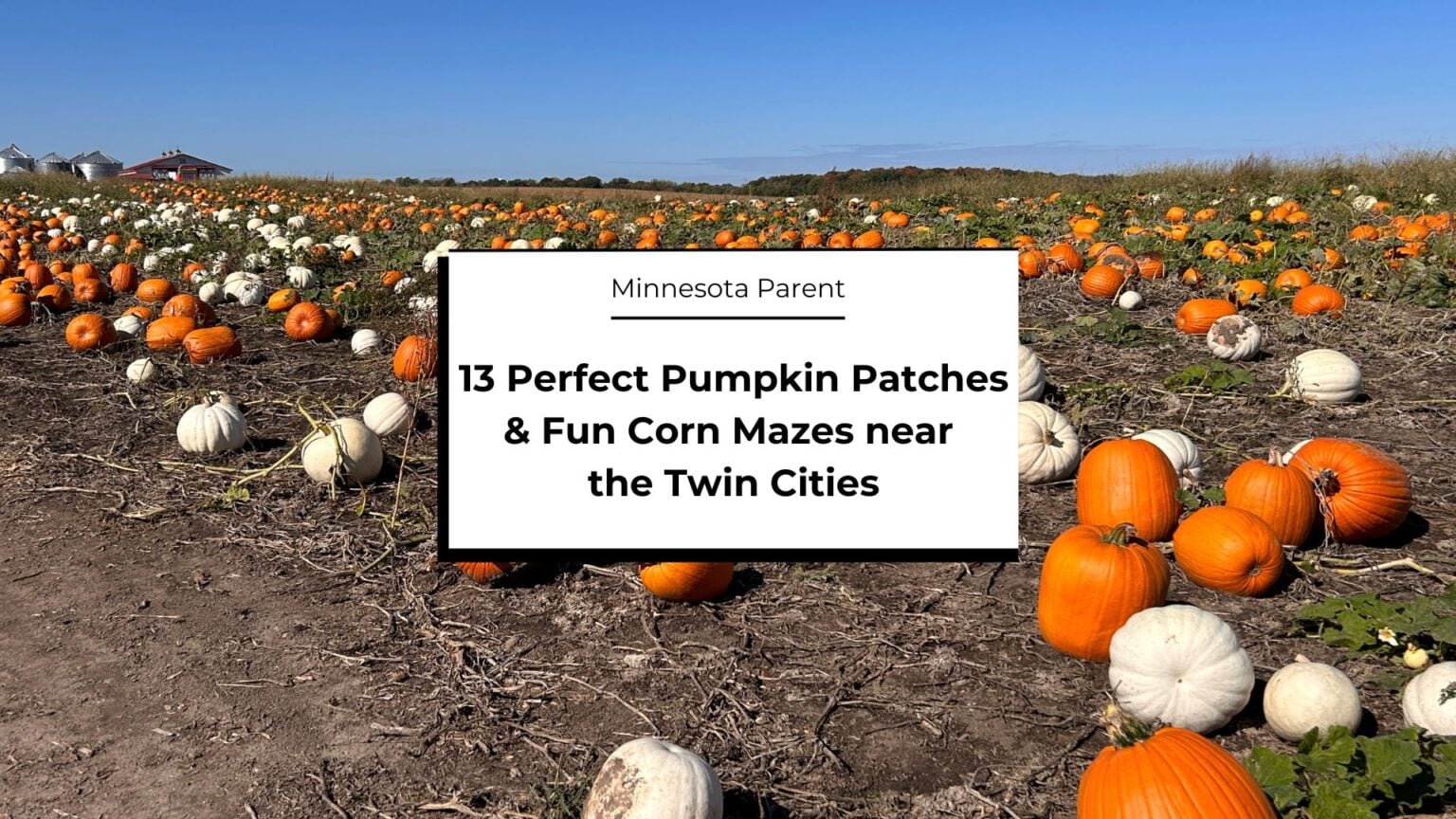 Your Fall Adventure Awaits: Twin Cities Pumpkin Patches