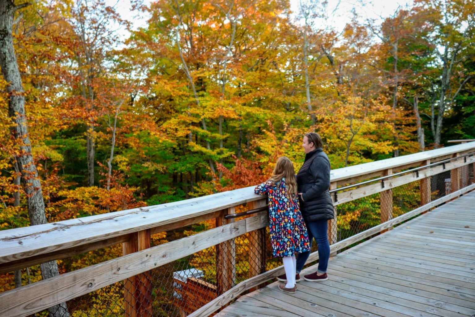 A Family Guide to Visiting Door County, Wisconsin