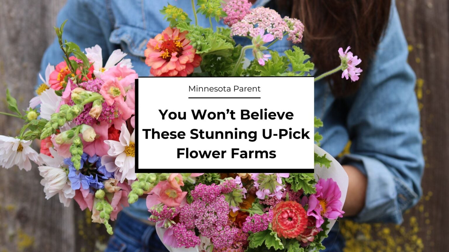 Magical U-Pick Flower Farms Near the Twin Cities