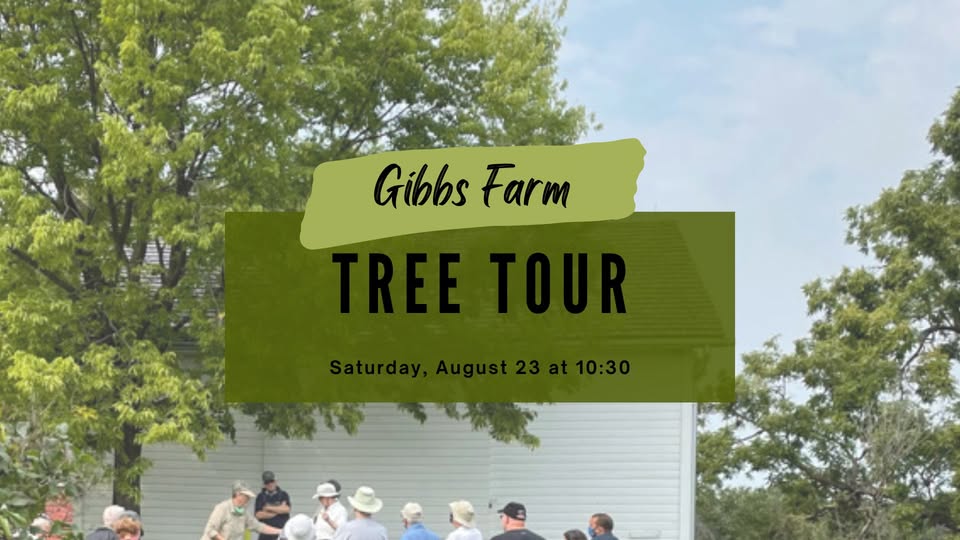 August Tree Tour - Minnesota Parent