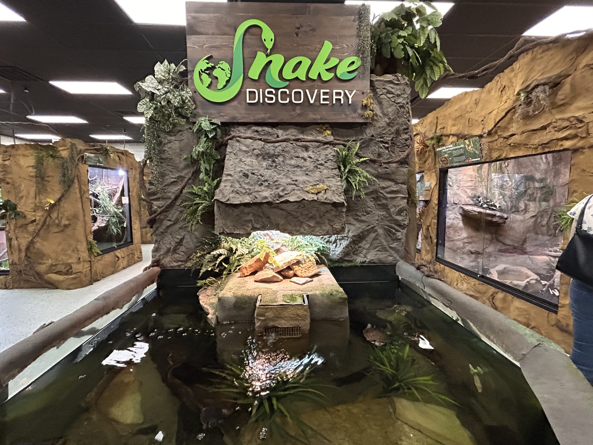 Let's go to Snake Discovery: A Reptile Experience - Minnesota Parent