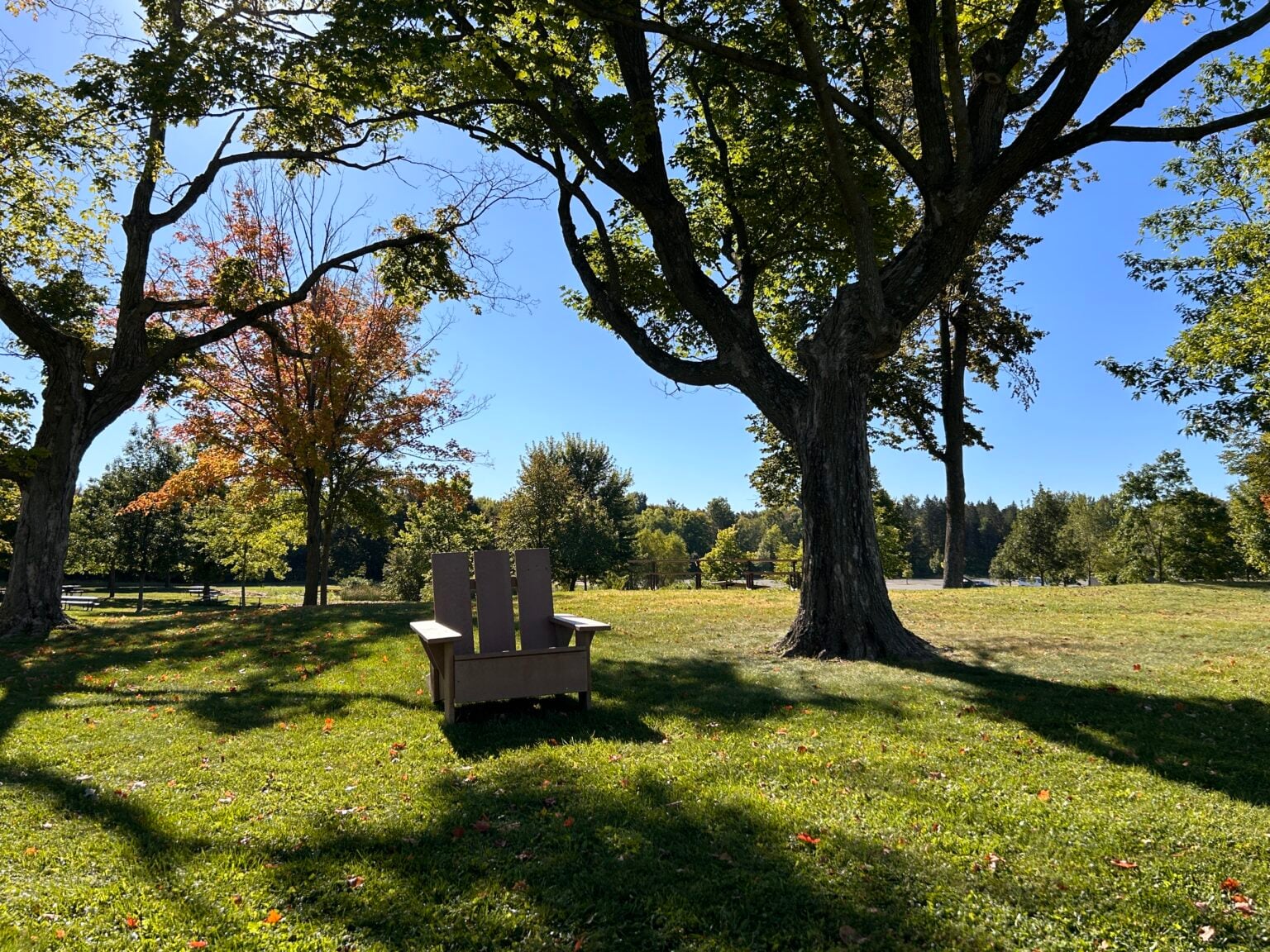 Trails, Beaches & More: Your Guide to Baker Park Reserve