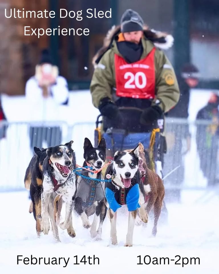 Ultimate Dogsled Experience - Minnesota Parent