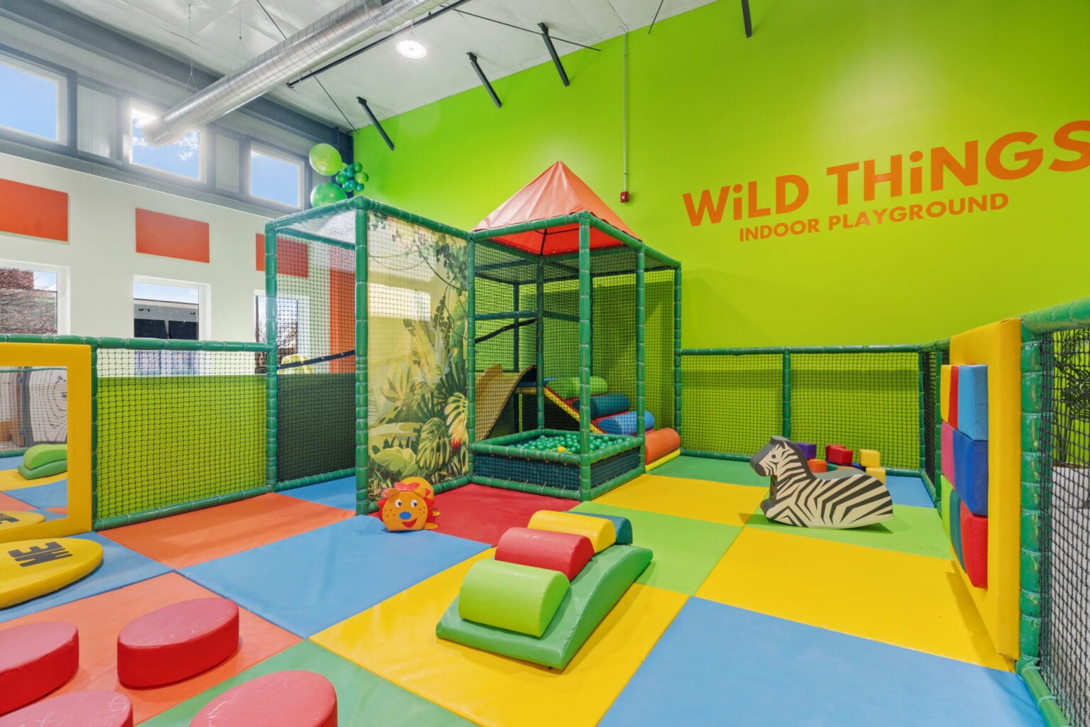 A Parent’s Guide to Lakeville’s Wild Things Indoor Playground
