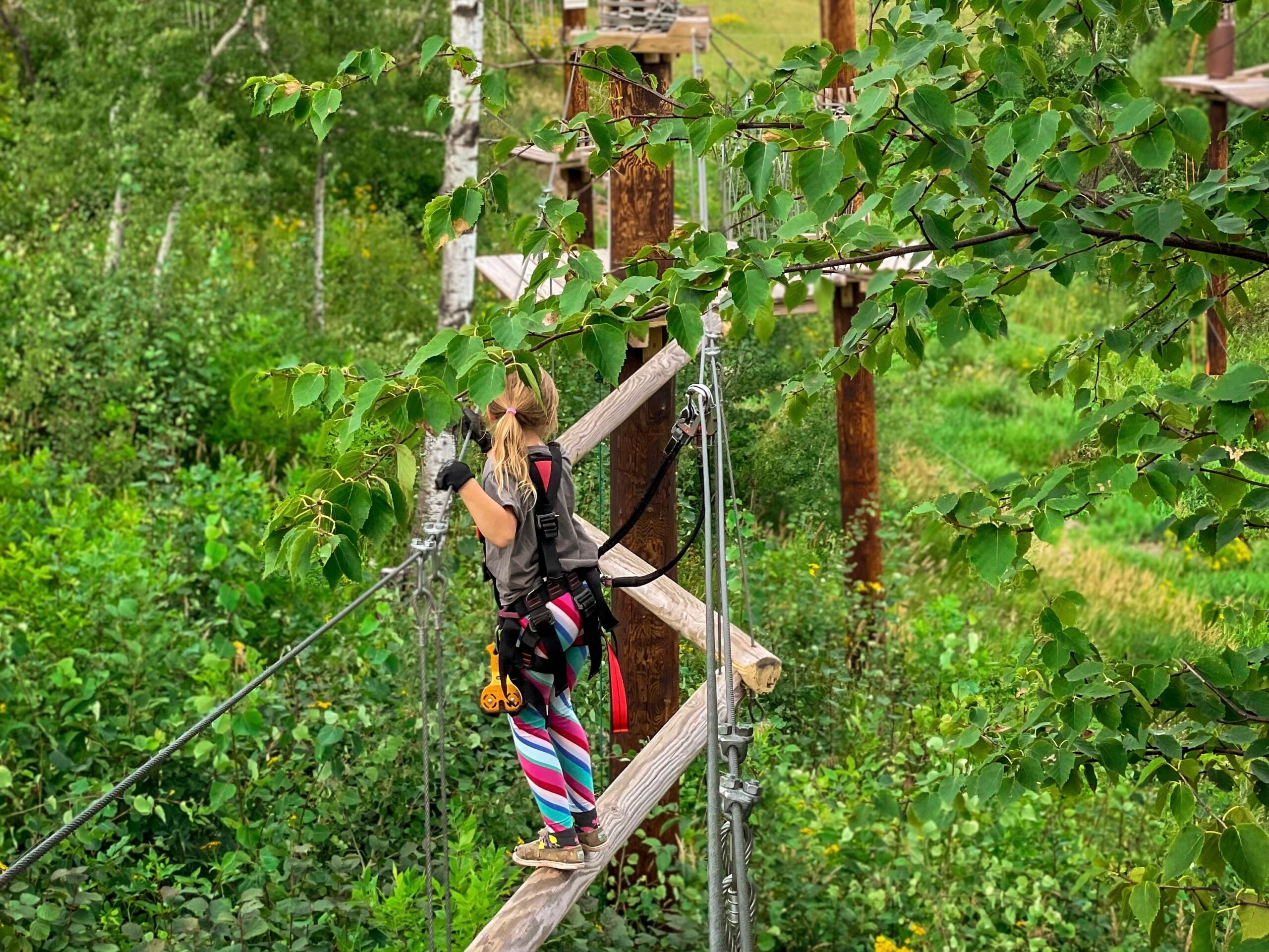 Add North Shore Adventure Park to Your Minnesota Bucket List ...