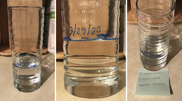 At home: Evaporation experiment - Minnesota Parent